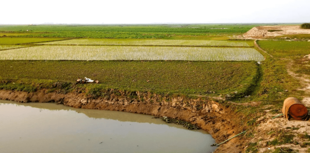 Rural Bangladesh Photo Series - Asrafun - Global Commons